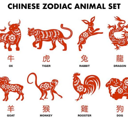The Chinese Zodiac Calendar: Your Complete Guide to the 12-Year Cycle ...