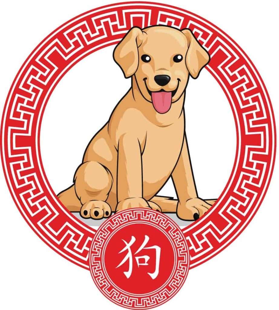 Dog Horoscope 2026 - Chinese Fate