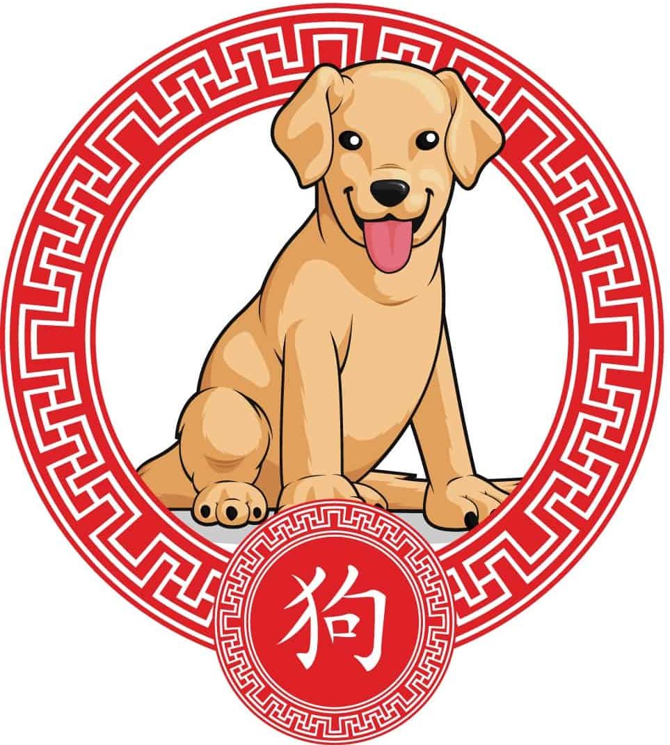 Dog Horoscope 2026 - Chinese Fate