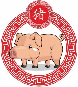 Pig Horoscope 2026 - Chinese Fate