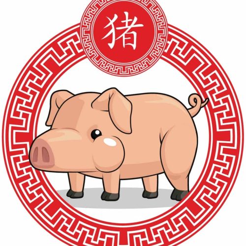 Chinese Zodiac Years: A Complete Guide to the 12-Year Cycle - Chinese Fate
