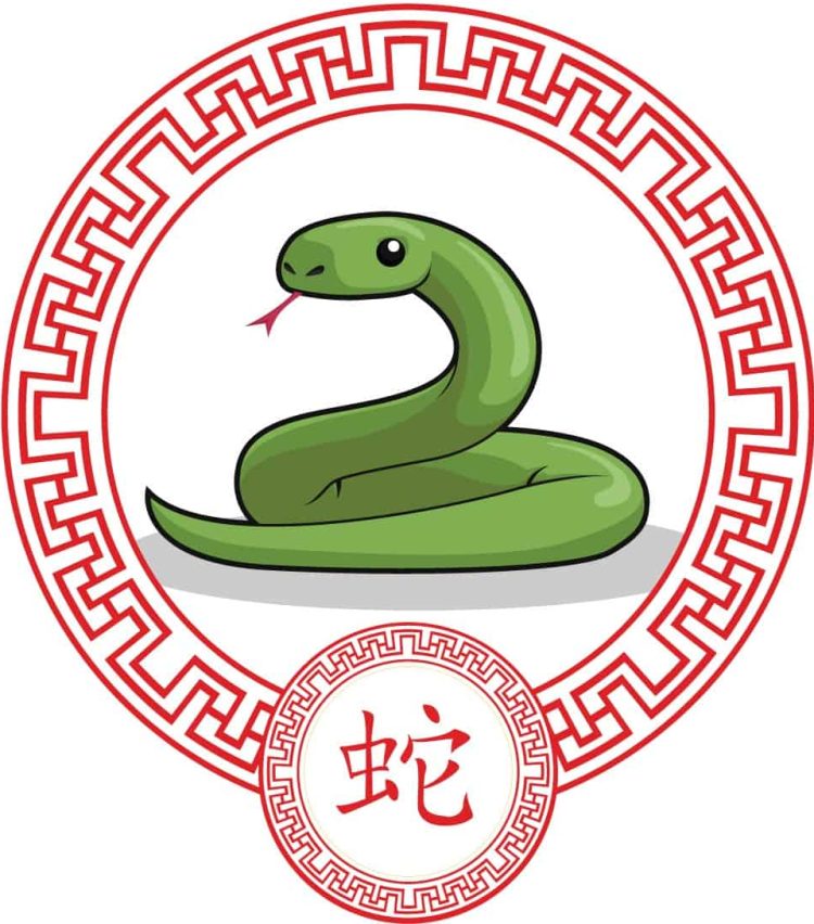 Snake Horoscope 2026 - Chinese Fate